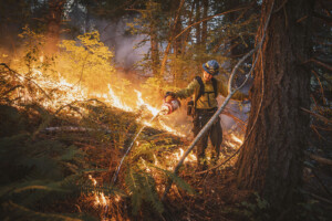Stunning Photo Competition Shines a Light on Earth's Amazing ...