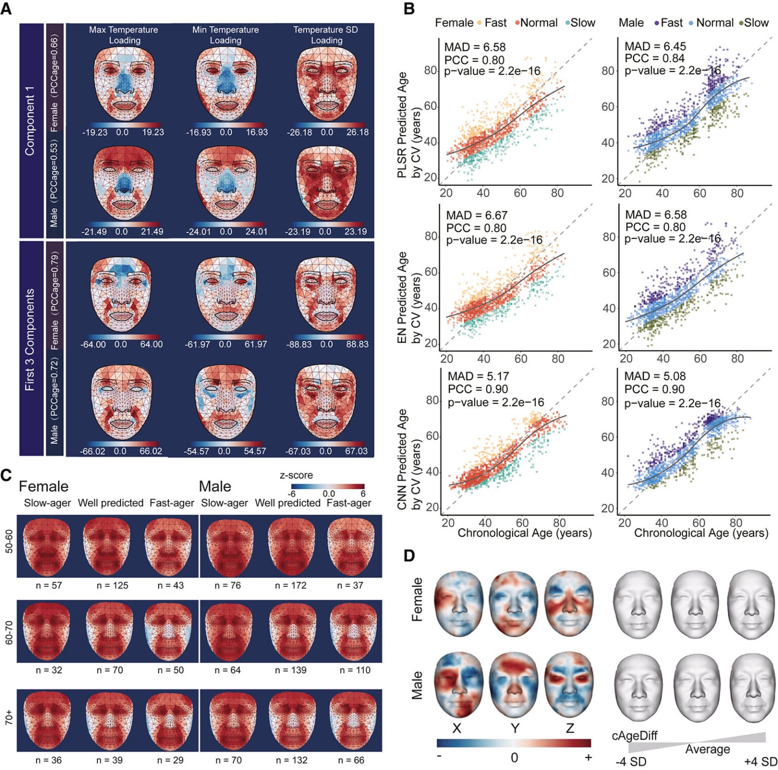 Face Photos With a Thermal Camera May Become Part of Routine Checkups ...