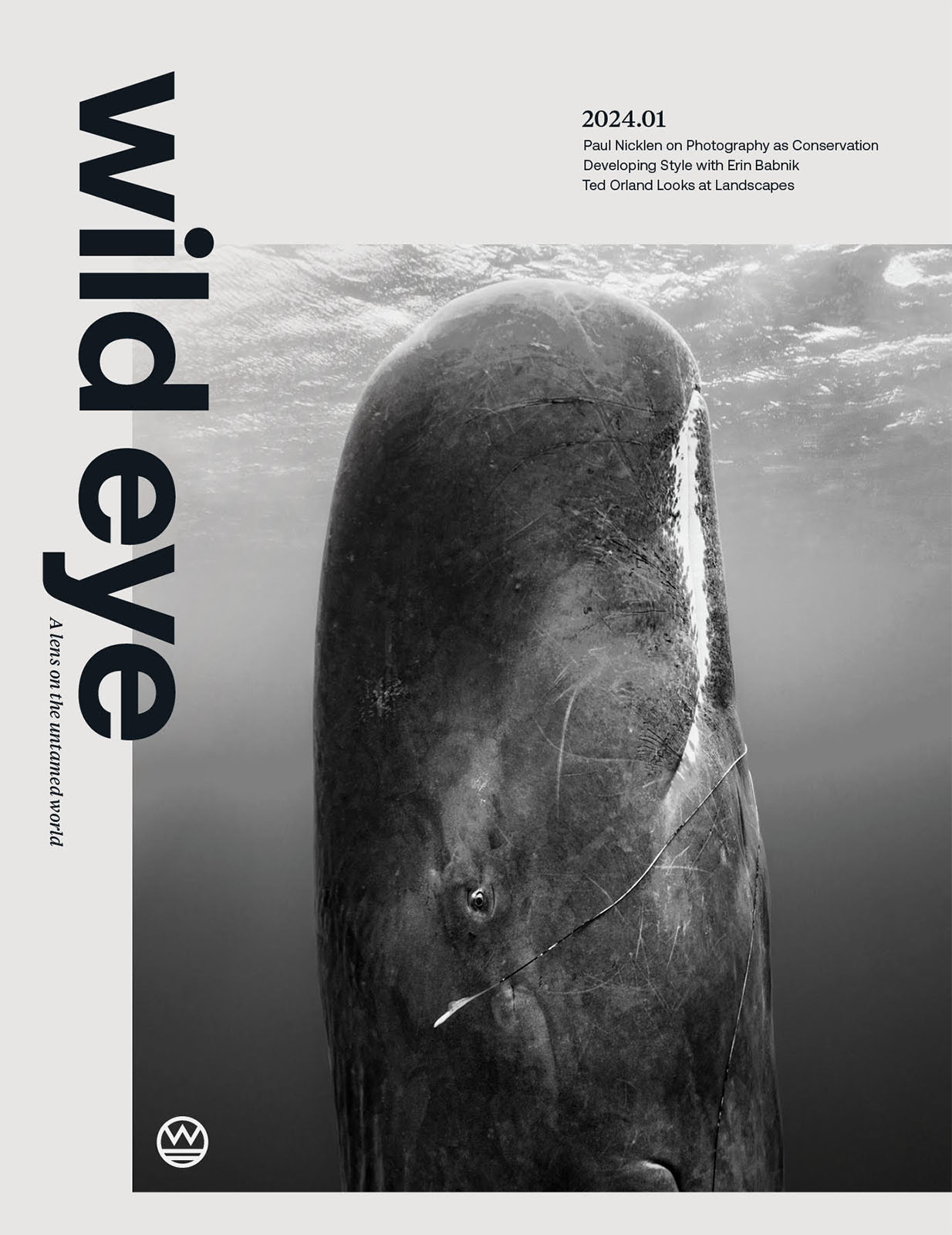 ‘Wild Eye Mag’ Is the Religious Successor to ‘Out of doors Photographer ...