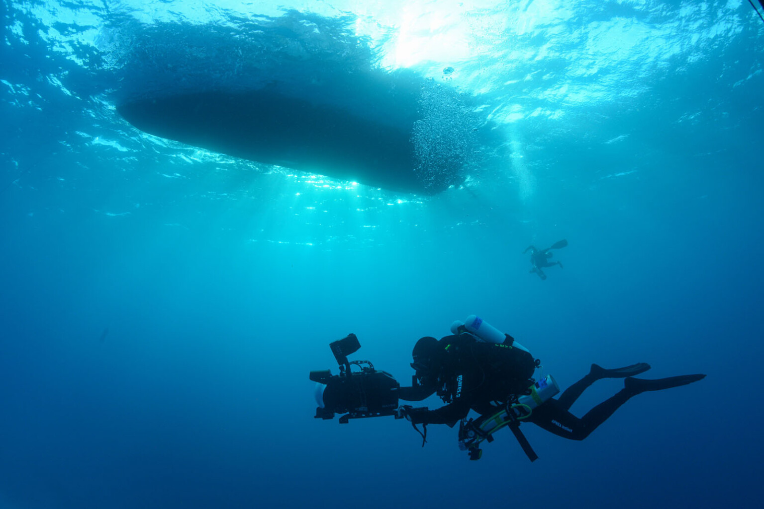 Nat Geo's 'OceanXplorers' Docuseries Puts Cameras on Whales | PetaPixel