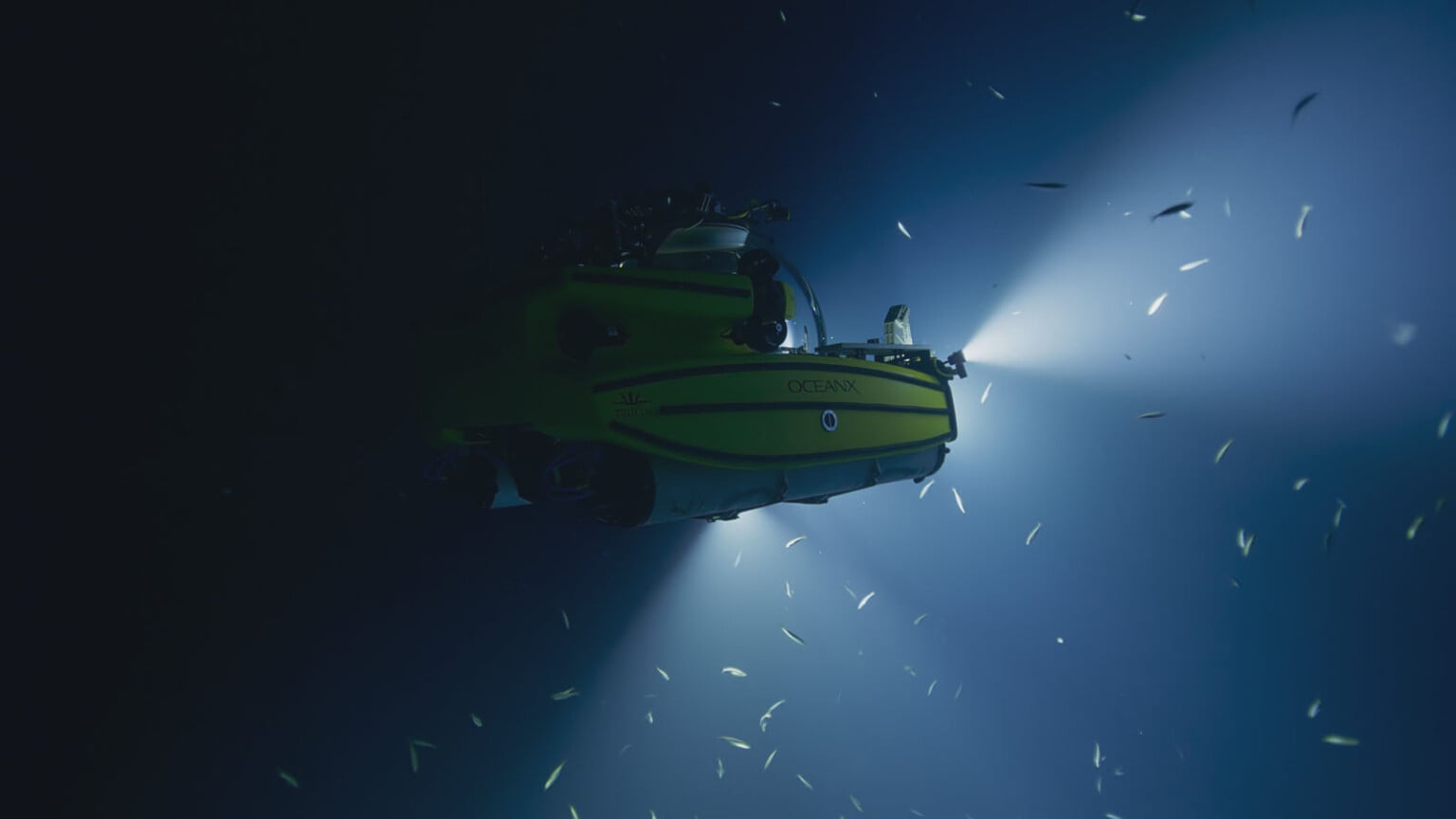 Nat Geo's 'OceanXplorers' Docuseries Puts Cameras on Whales | PetaPixel
