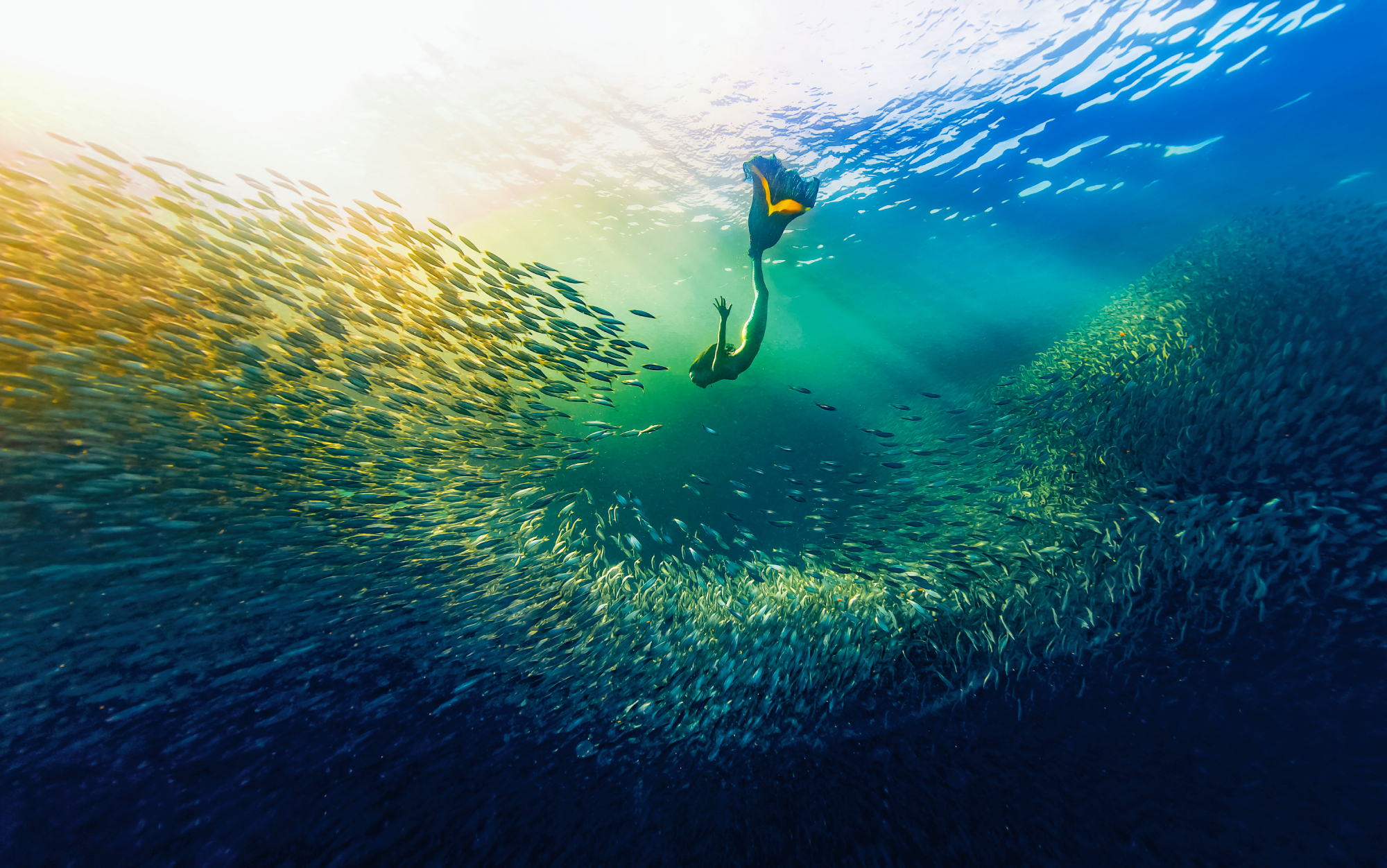 16 Finalists For Ocean Photographer Of The Year | PetaPixel