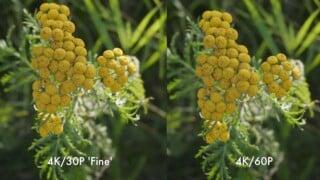 Canon EOS R5 Mark II Review: Canon's Most Capable Do-It-All Camera ...