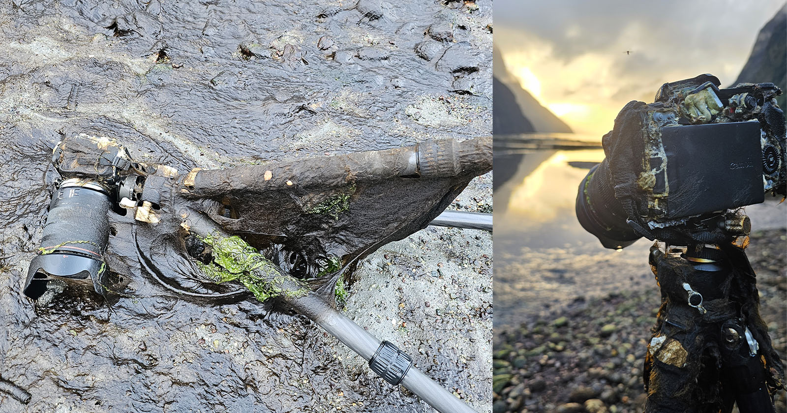 Technology News | 15 Minute News - Know the News