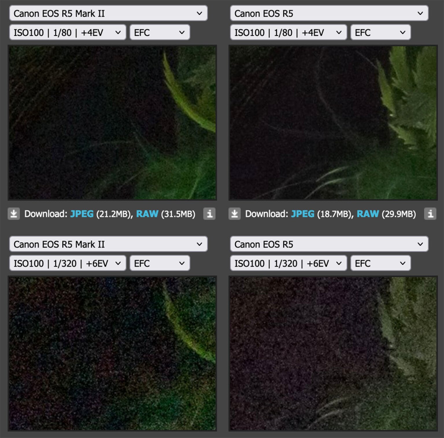 The Canon R5 II's New Stacked Sensor Comes with a Dynamic Range Penalty | PetaPixel