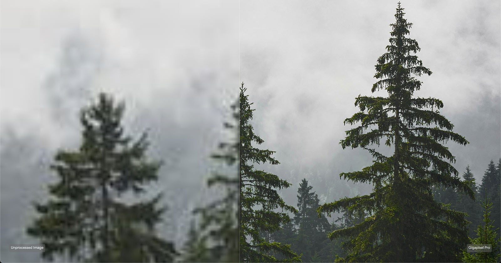 Topaz Labs Gives Gigapixel AI Upscaler the 'Pro' Treatment | PetaPixel