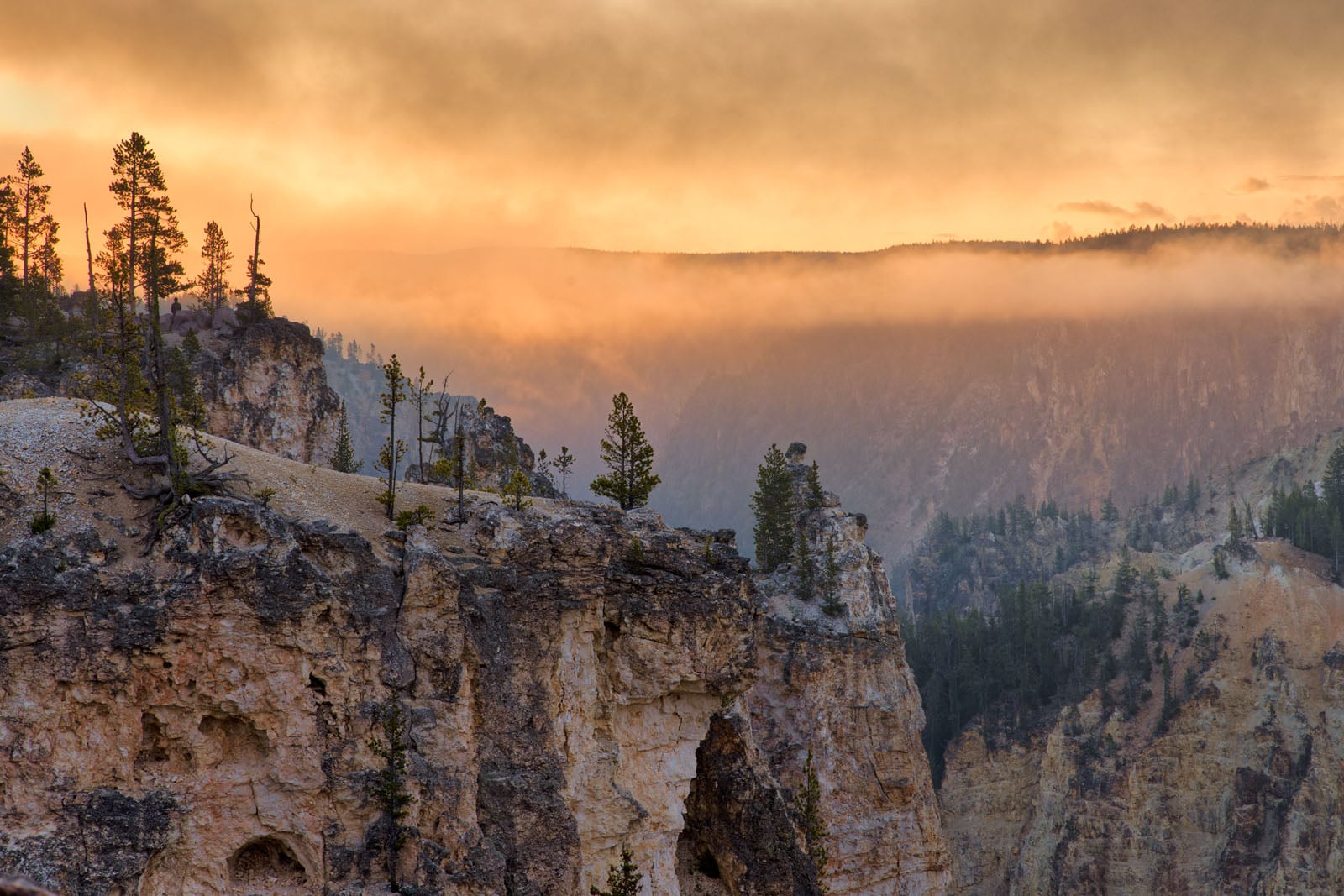 How Photography Helps Protect the Beauty of Yellowstone | PetaPixel
