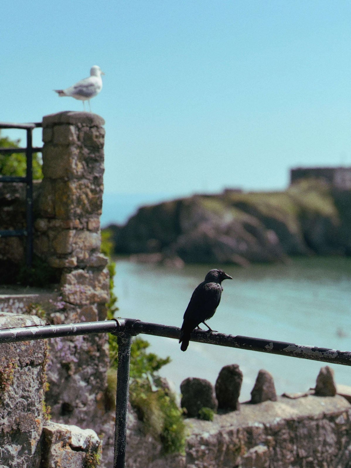 It's Hard to Believe the Photos From Mood.Camera's New Portrait Mode ...