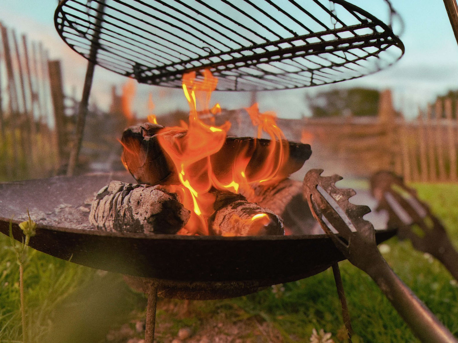 It's Hard to Believe the Photos From Mood.Camera's New Portrait Mode ...