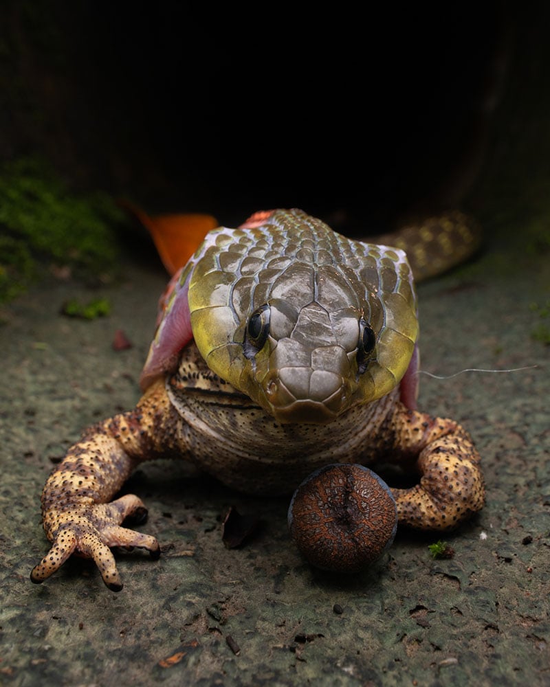 Photographer Captures Hong Kong's 'Night Creatures' | PetaPixel