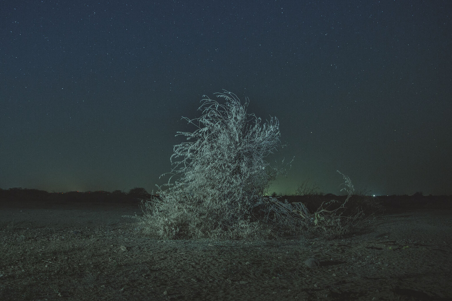 These Up and Coming Photographers Are Creating Beautiful Work | PetaPixel