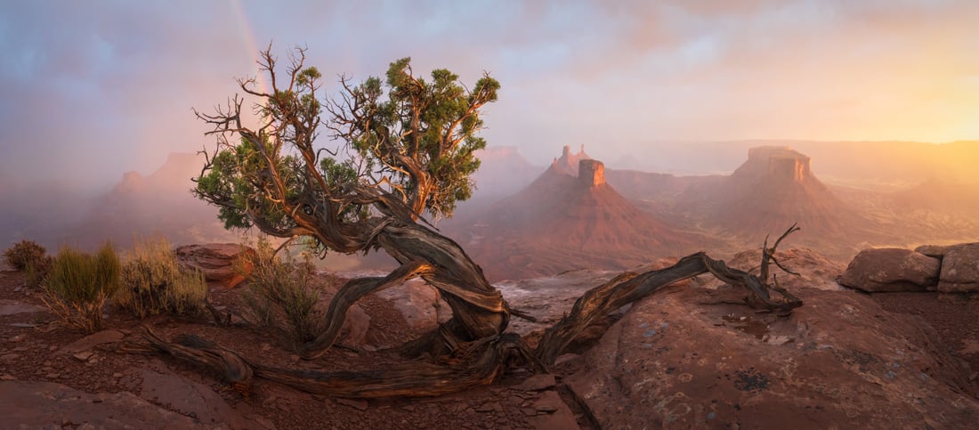 The Spectacular Winners of the International Panorama Photo Awards ...