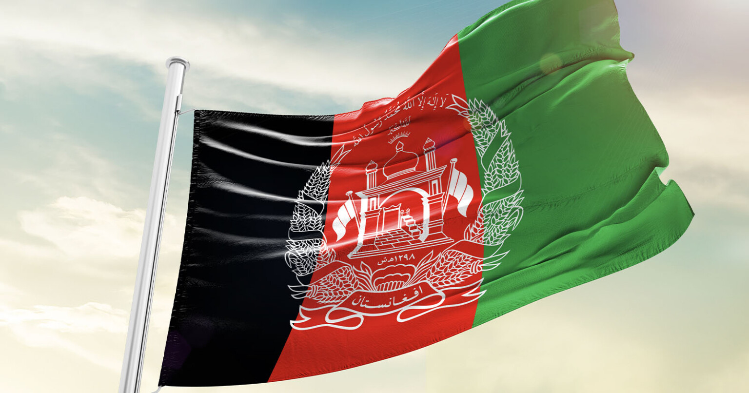 The Taliban Bans Publishing Photos and Videos of All Living Things ...