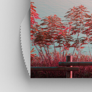 Canvas vs Paper: Choosing the Best Medium for Your Photo Prints | PetaPixel