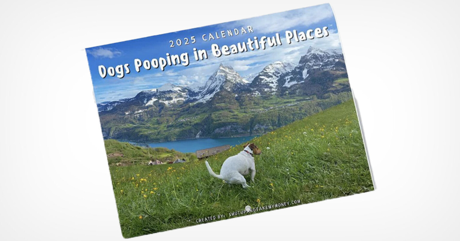 This Calendar Features Photos of 'Dogs Pooping in Beautiful Places ...