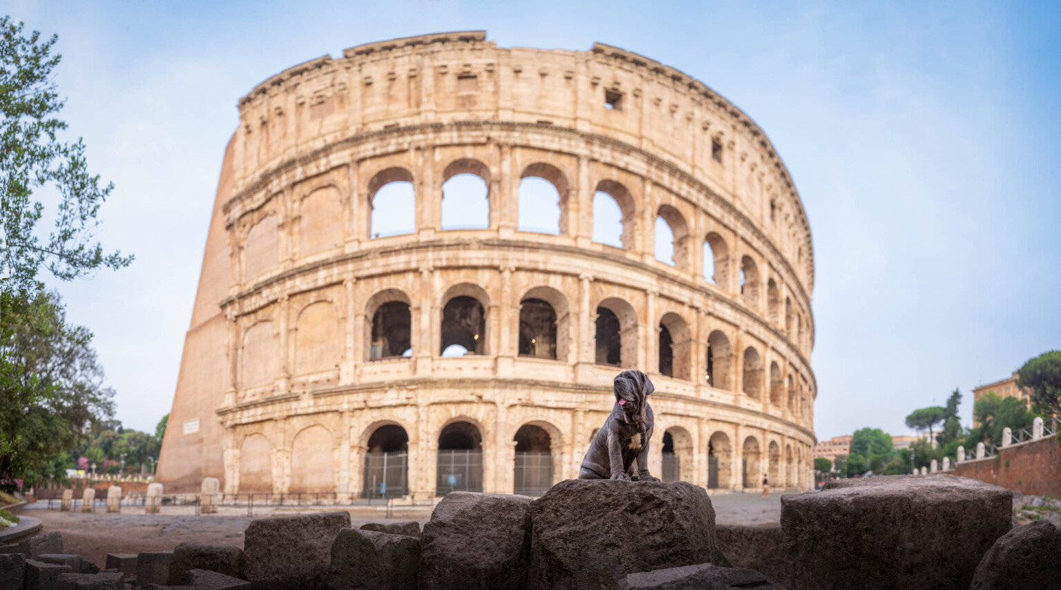Photographer Travels the World Capturing Dogs in Their Ancestral ...