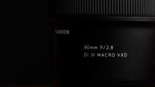 Tamron 90mm f/2.8 Macro Di III VXD Review: The Legend Continues | PetaPixel