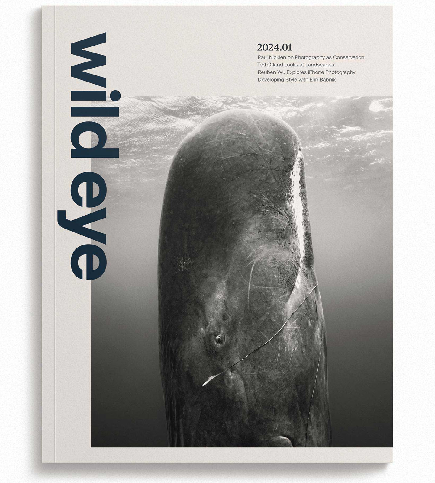 'Wild Eye' Magazine's Debut Issue Demonstrates Commitment to ...