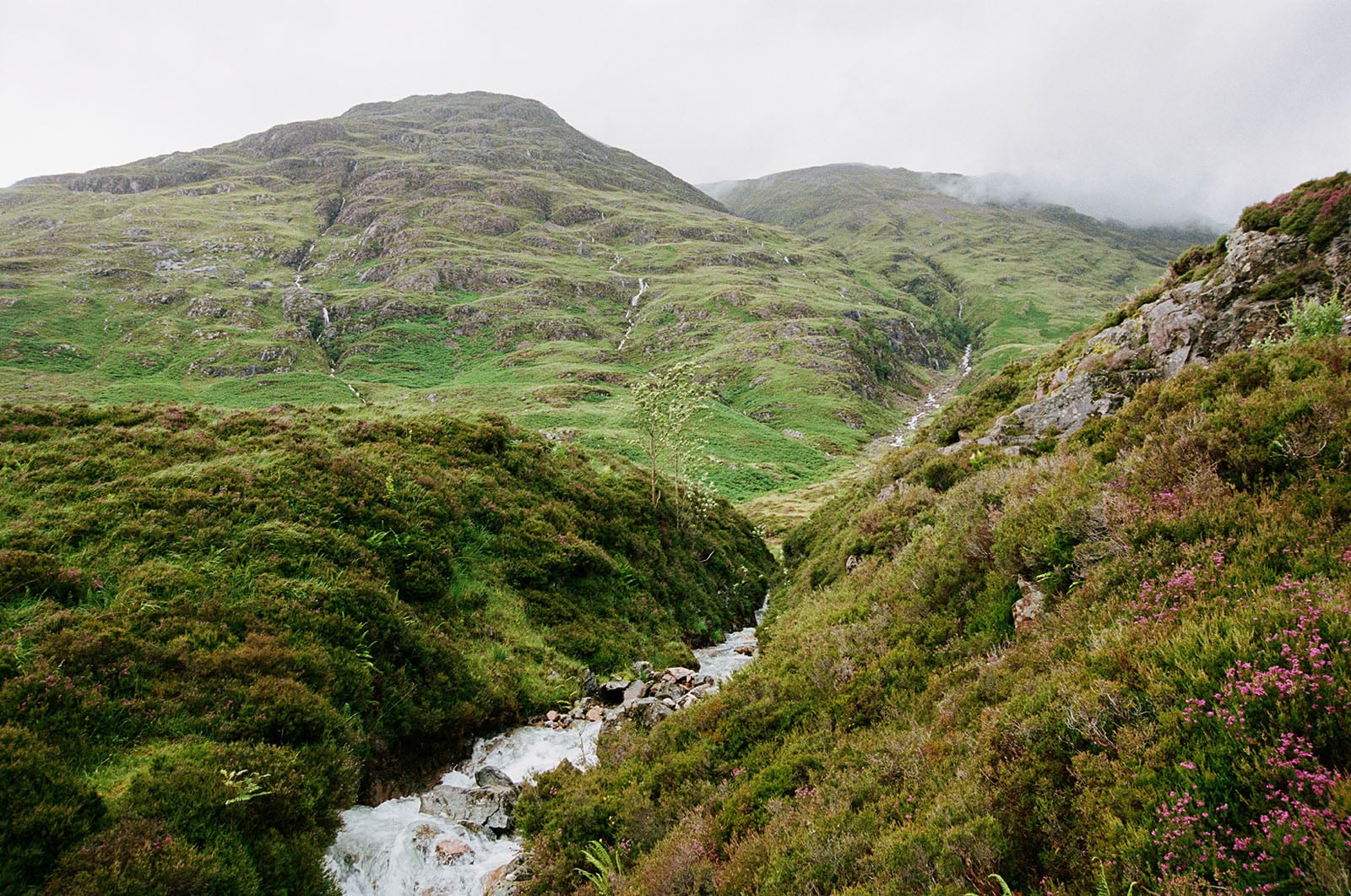 Photographers Compete to Shoot Microsoft's Next Iconic Windows ...