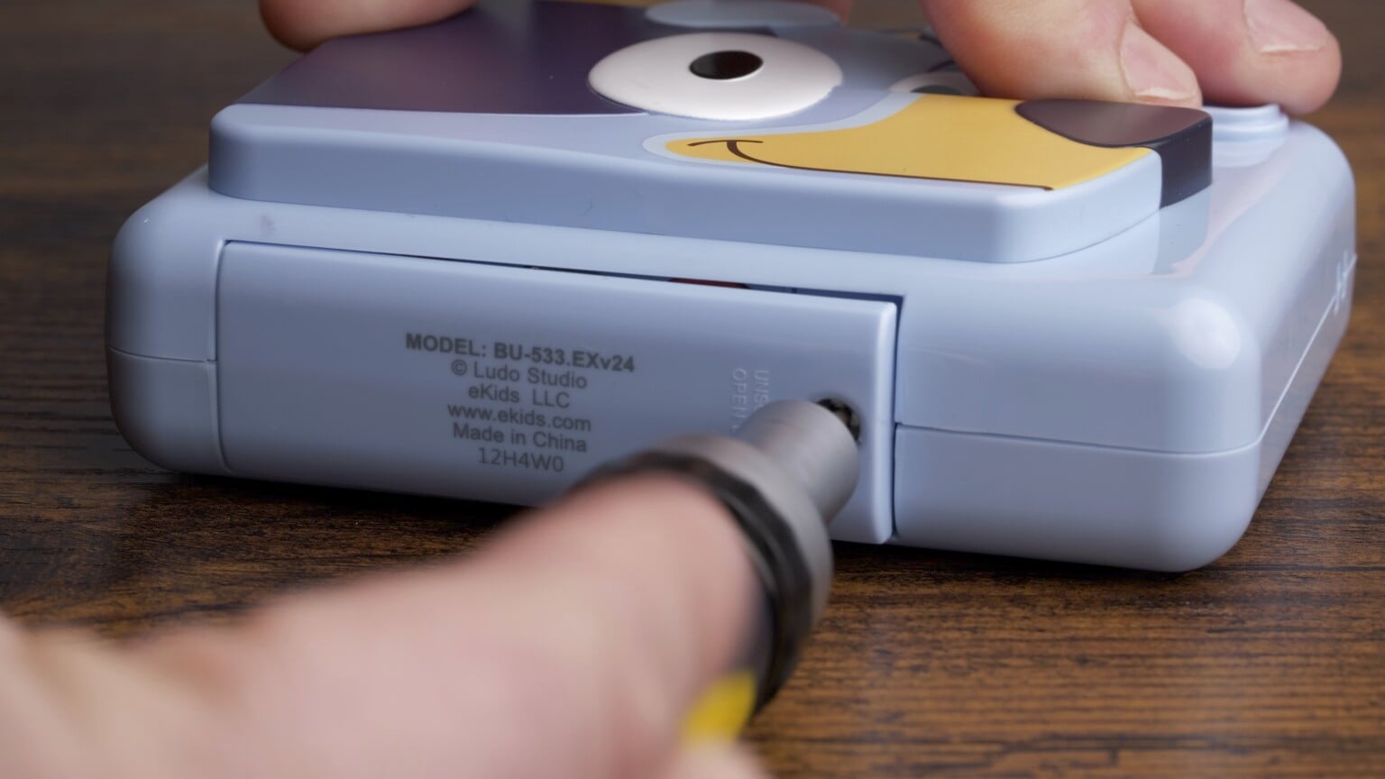 eKids Bluey Camera Review: This Nightmare Puts the Eww in Review ...