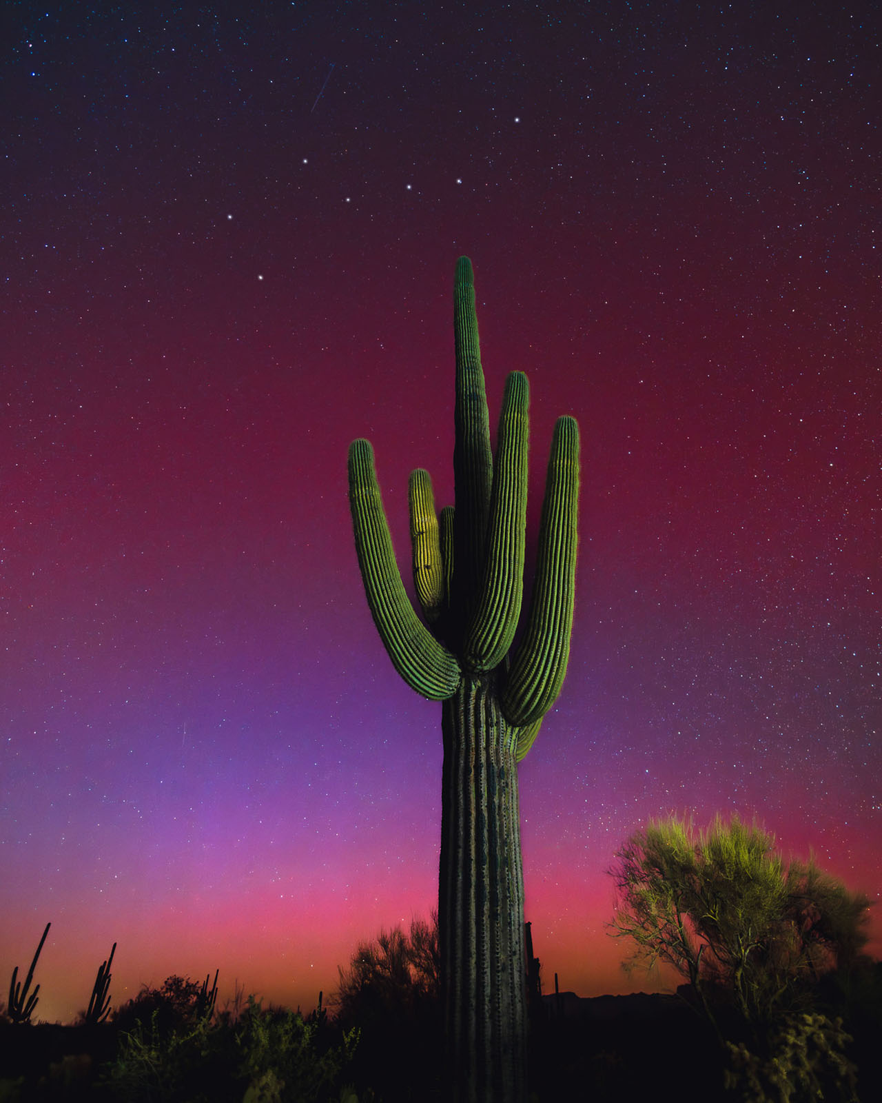 Northern Lights Photographer of the Year Showcases One of the Best ...