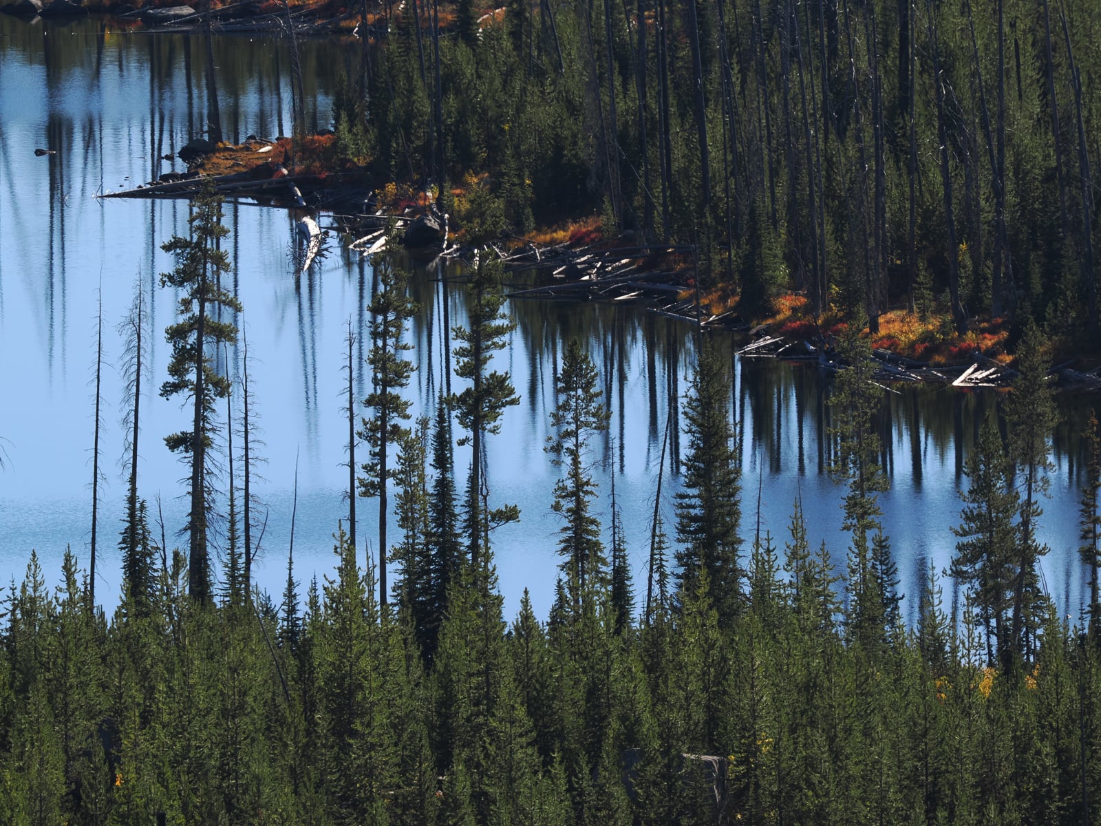 The Best Micro Four Thirds Lenses for Every Situation | PetaPixel