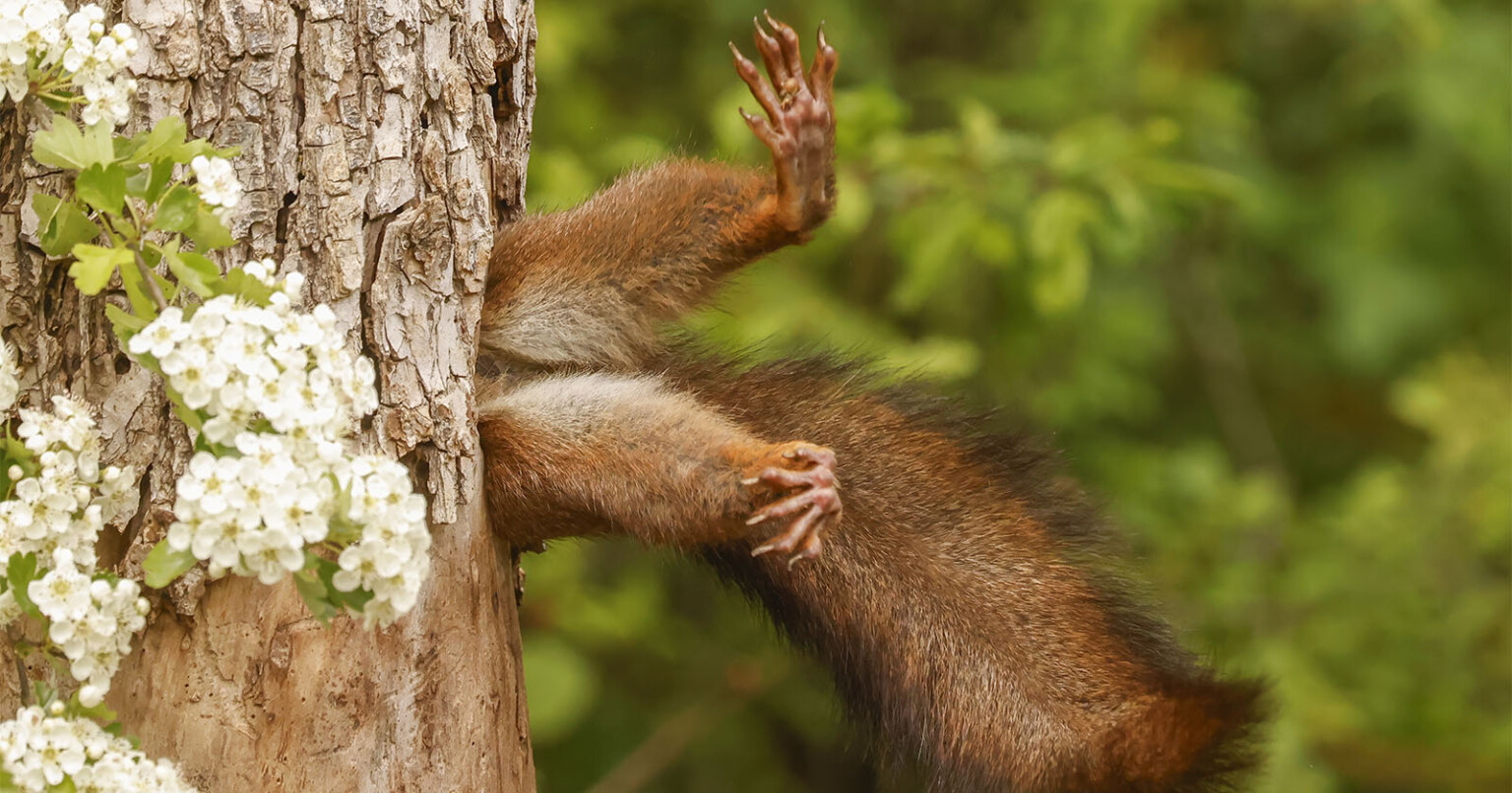 PetaPixel | Page 7 of 1434 | Photography and Camera News, Reviews, and Inspiration