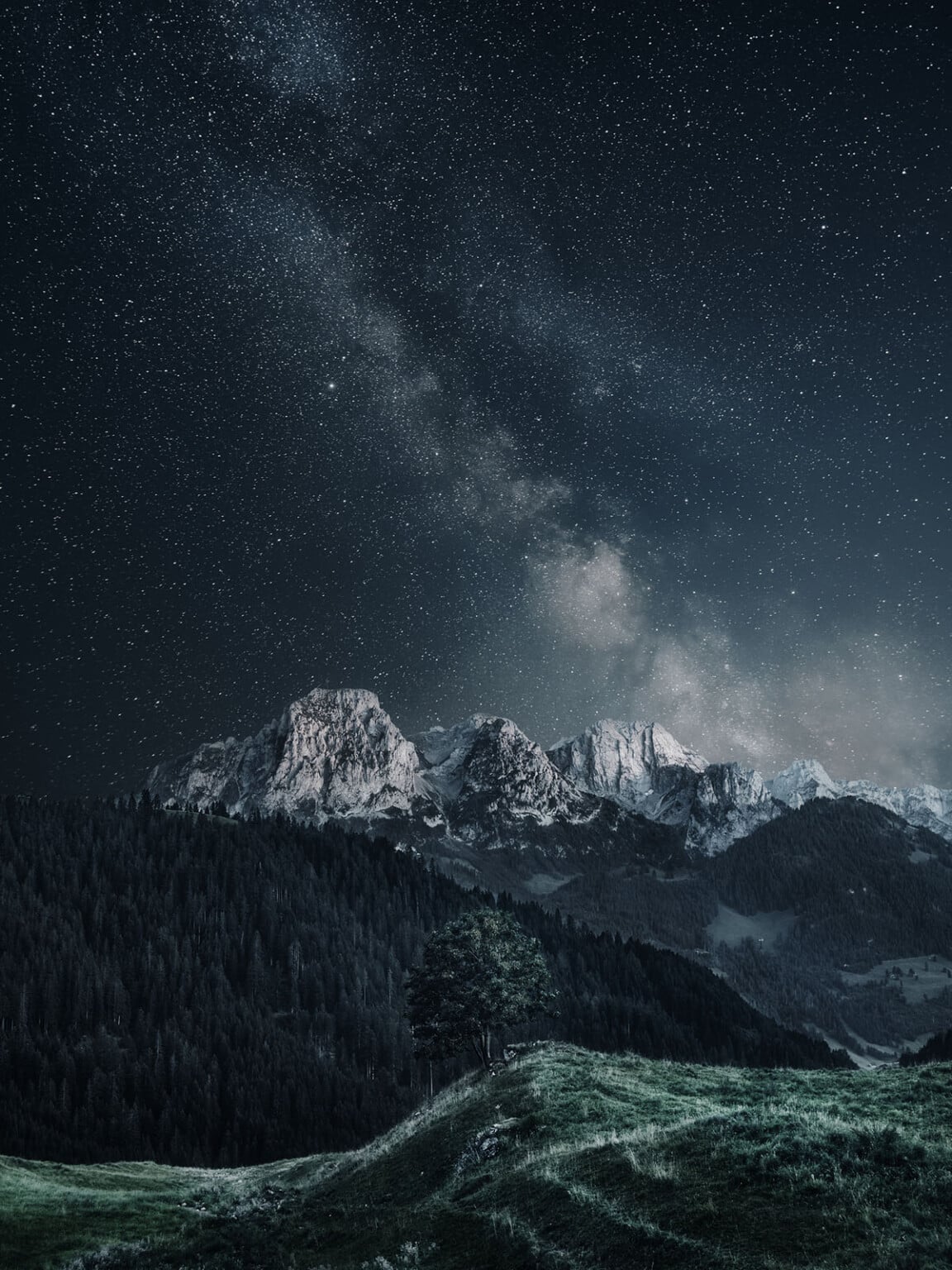 'Life in Another Light' Contest Winners Show Otherworldly Beauty of ...