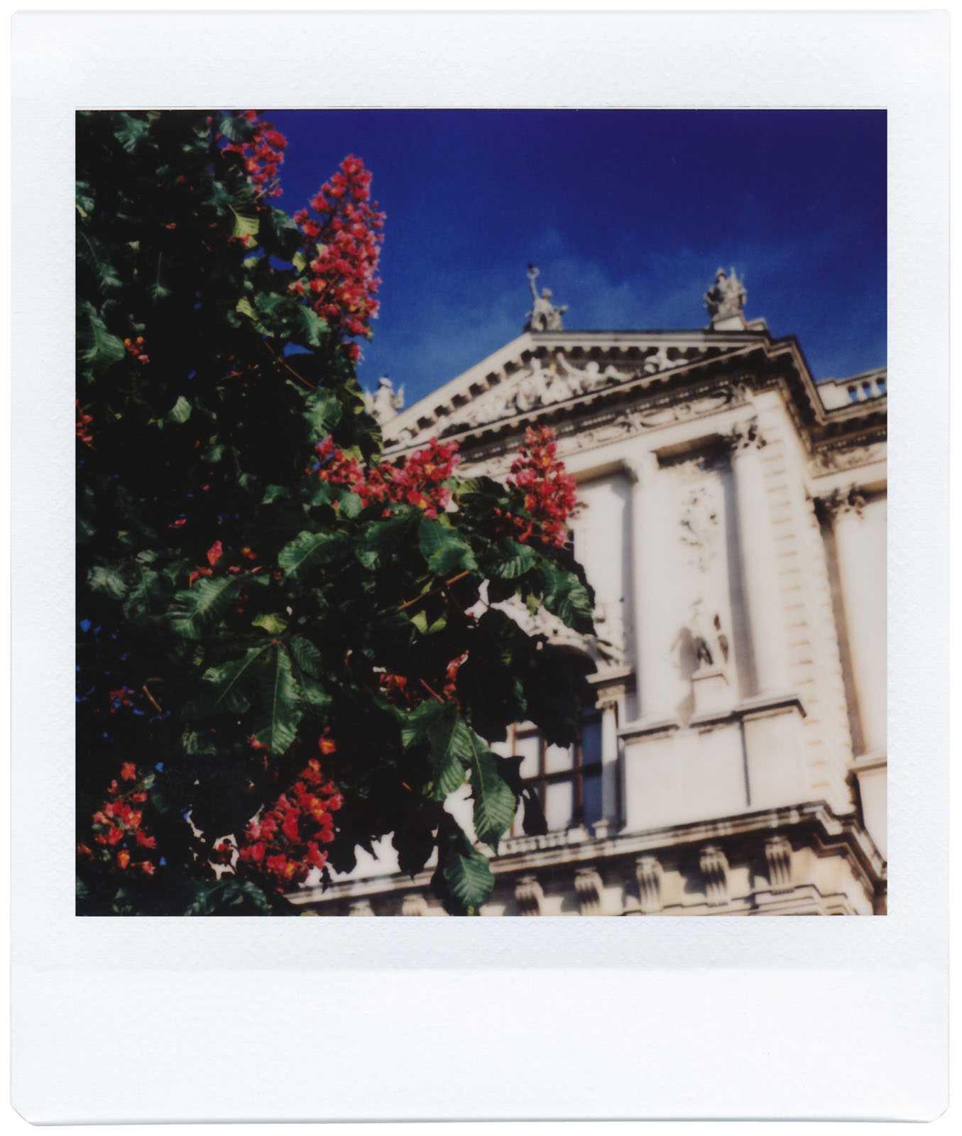 Lomography's Folding Instant Square Glass Camera Gets Even More Stylish ...