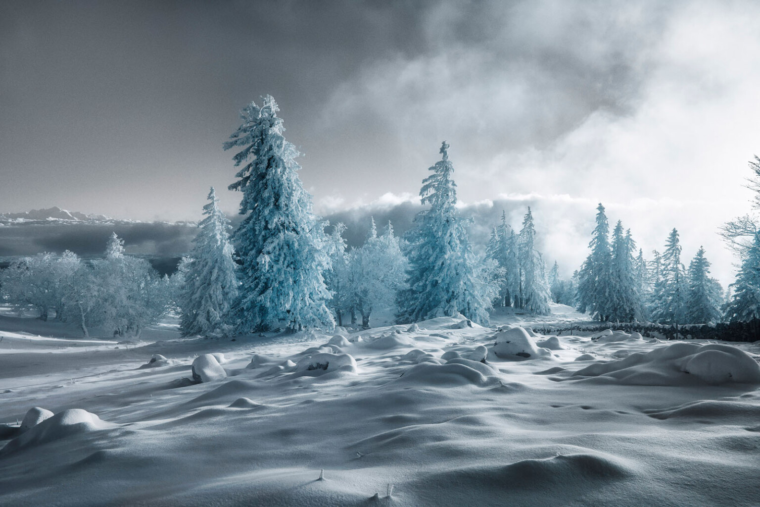'Life in Another Light' Contest Winners Show Otherworldly Beauty of ...
