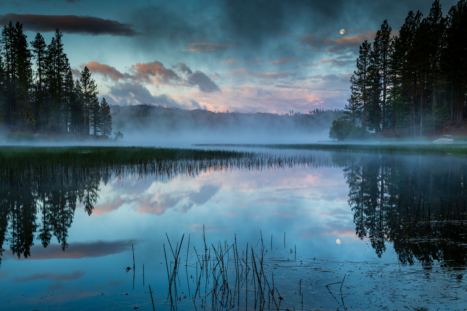 'Life in Another Light' Contest Winners Show Otherworldly Beauty of ...