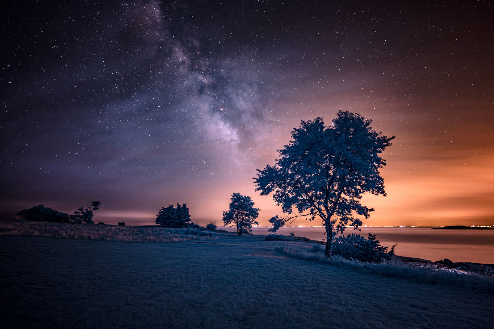 'Life in Another Light' Contest Winners Show Otherworldly Beauty of ...