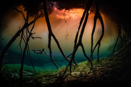 The 14 Fantastic Winners of the 2024 Ocean Art Underwater Photo Contest ...