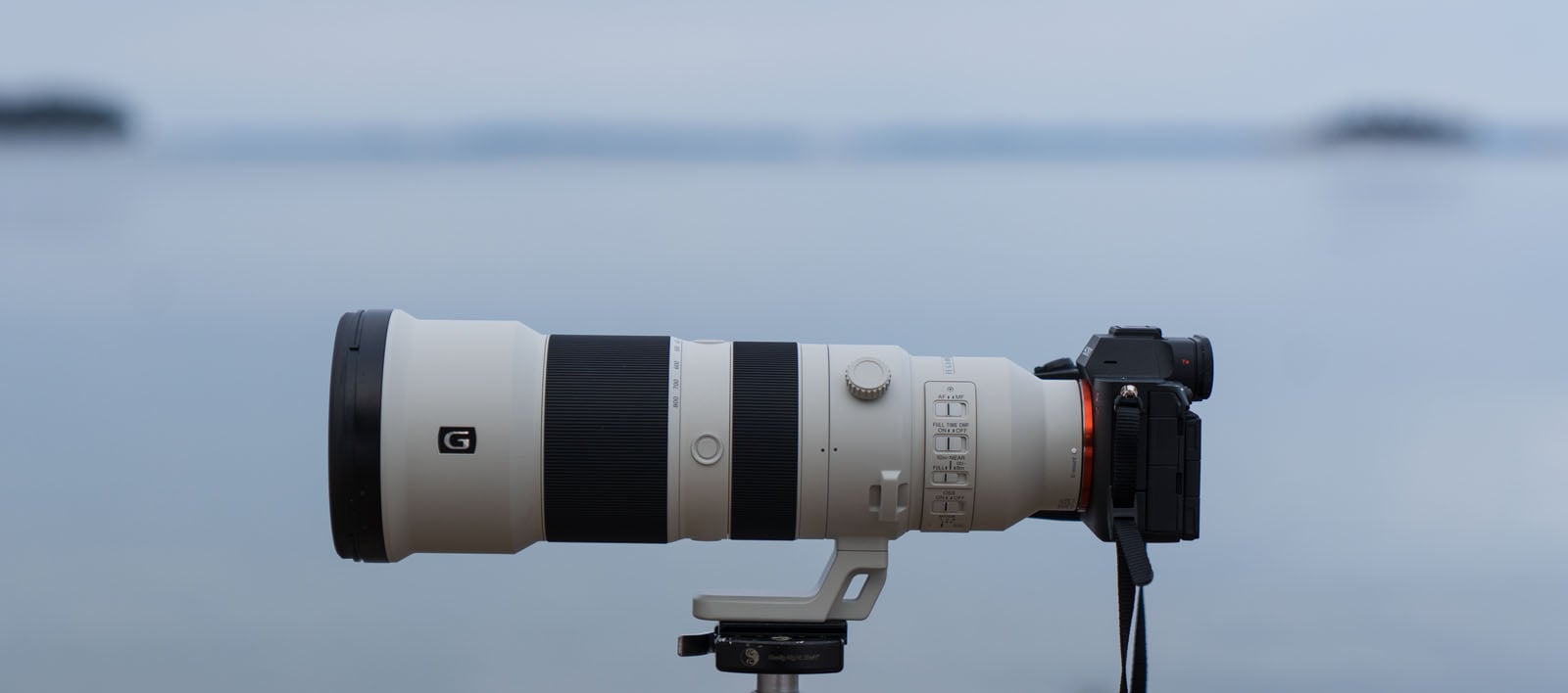 Sony 400-800mm f/6.3-8 G Review: A Wildlife Photography Champion ...