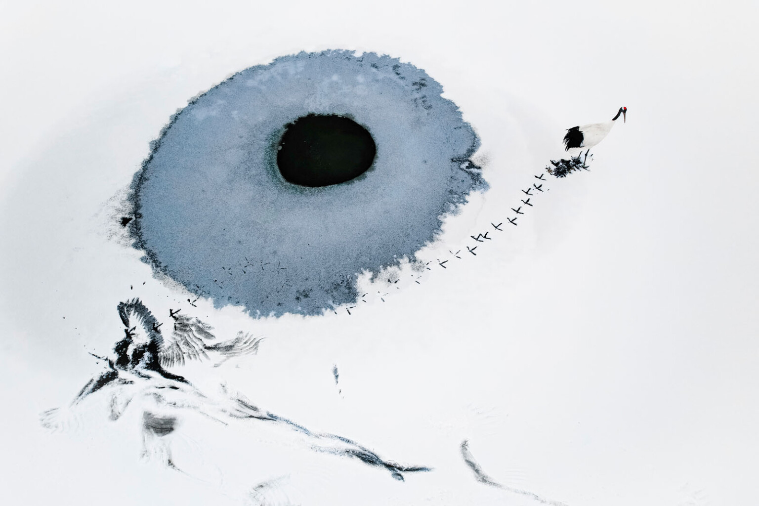 Over $200,000 in Prizes Are Available In the 11th Annual SkyPixel Photo ...