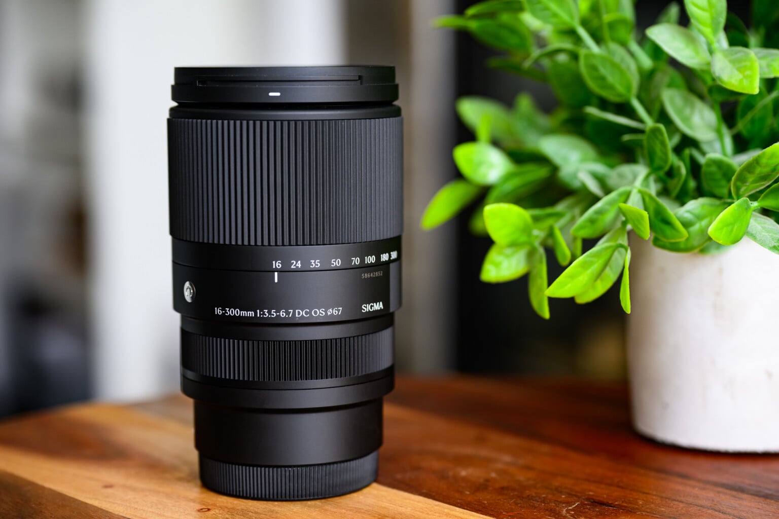 Sigma 16-300mm f/3.5-6.7 DC OS Review: A Long-Awaited Return | PetaPixel