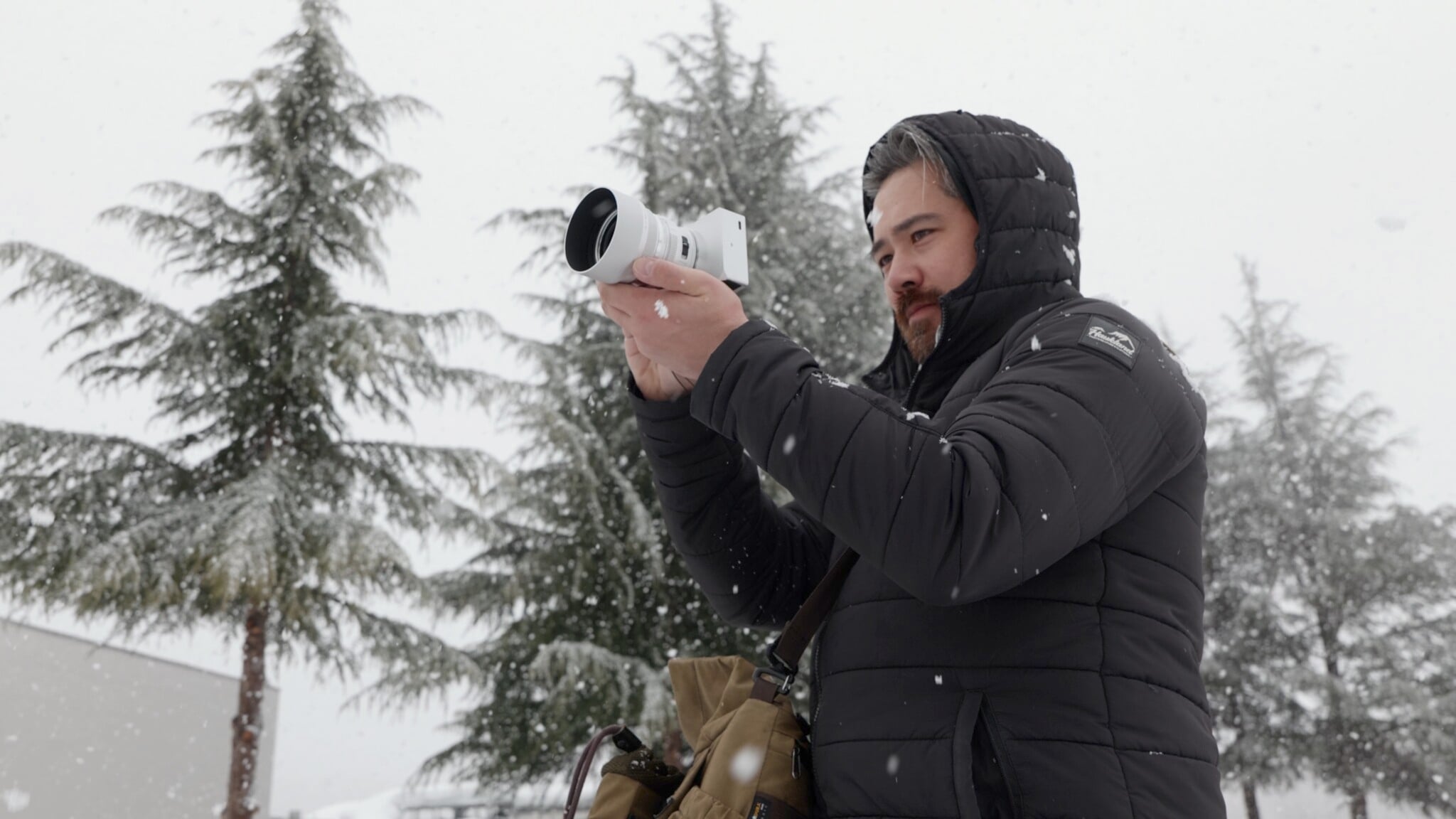 Sigma BF Review: Riding The Knife's Edge of 'Too Simple' | PetaPixel