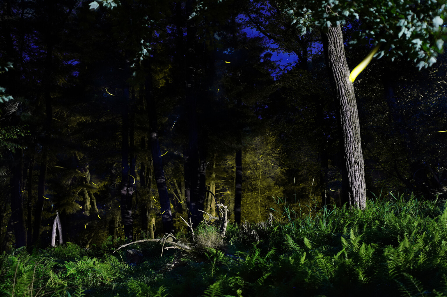 The Best Night Photography Tips for Trendy 'Noctourism' Adventures ...