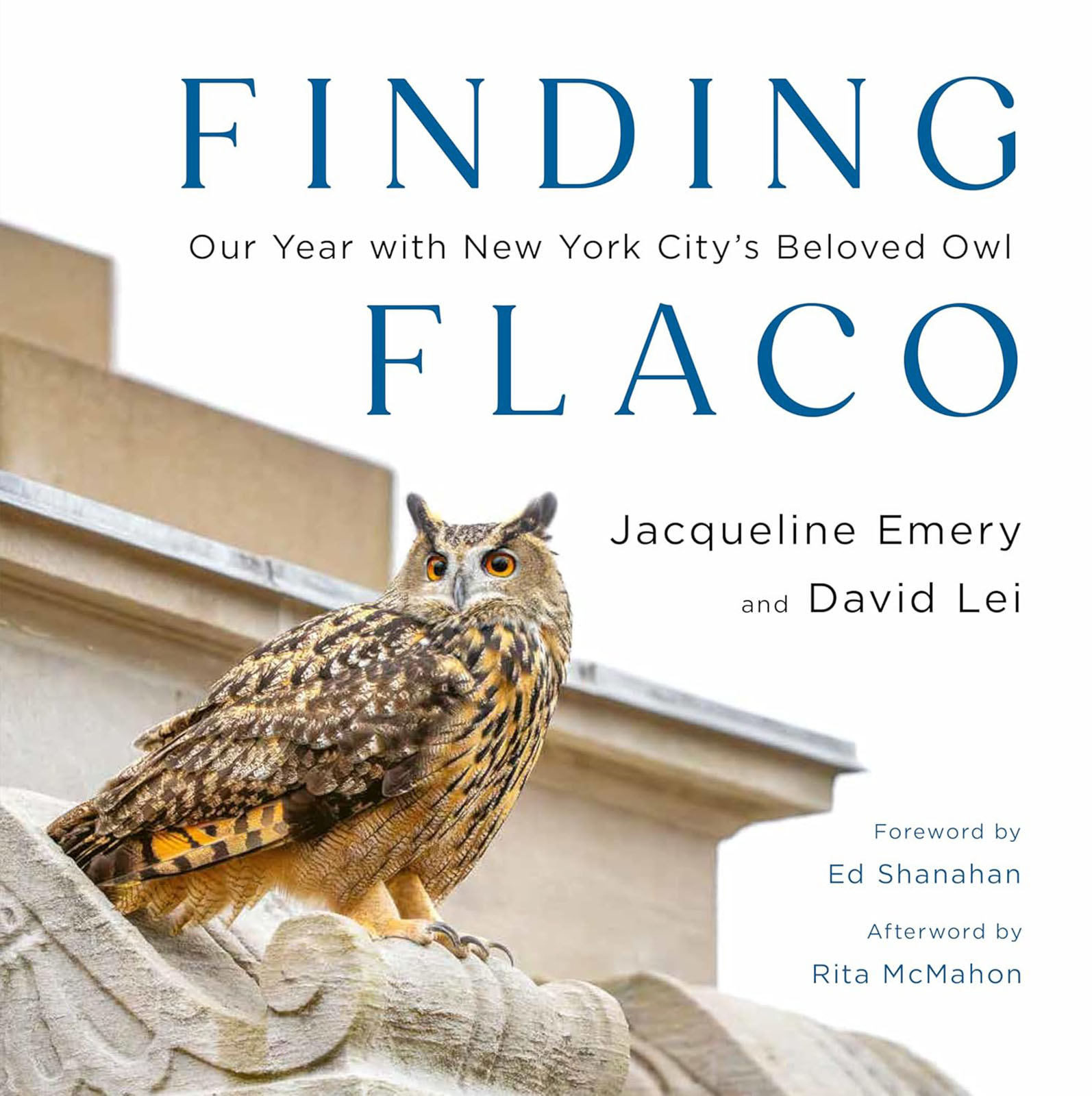 How Photographers Celebrated Flaco the Owl's Year of Freedom | PetaPixel