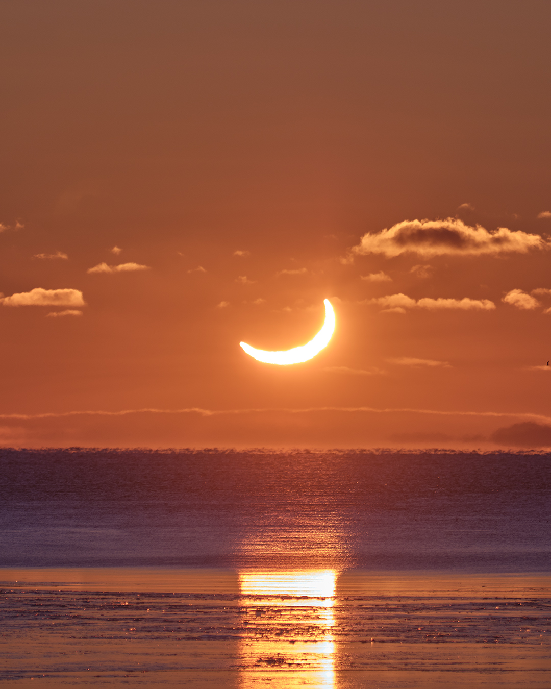 Photographers Share Spectacular Images of the Solar Eclipse | PetaPixel