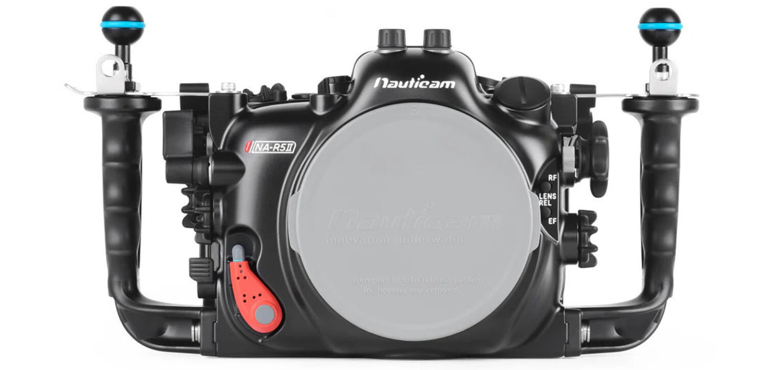 Canon EOS R5 Mark II Review for Underwater Photography | PetaPixel
