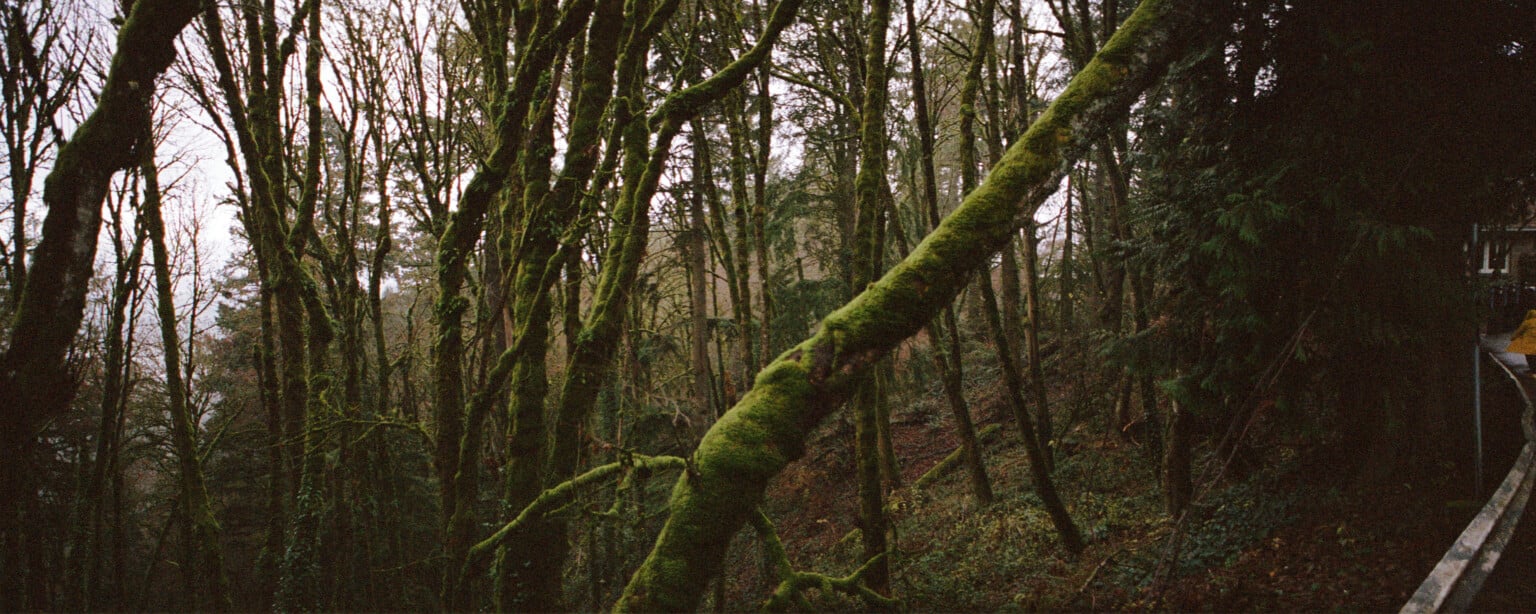 I Took 35mm Film Photos With an Anamorphic Lens: Was It Worth It ...
