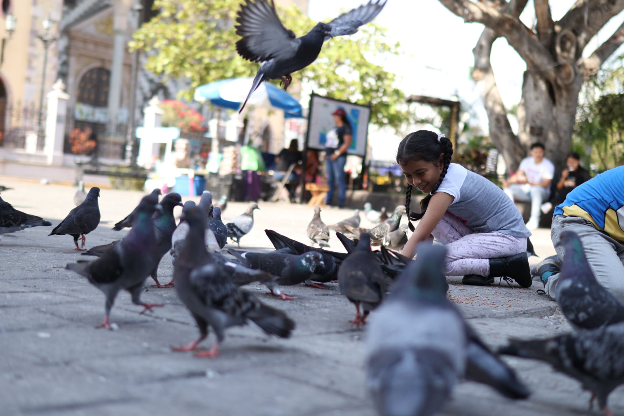 Sample Gallery Update: Canon R50 V, PowerShot V1, and Sony 50-150mm f/2 ...