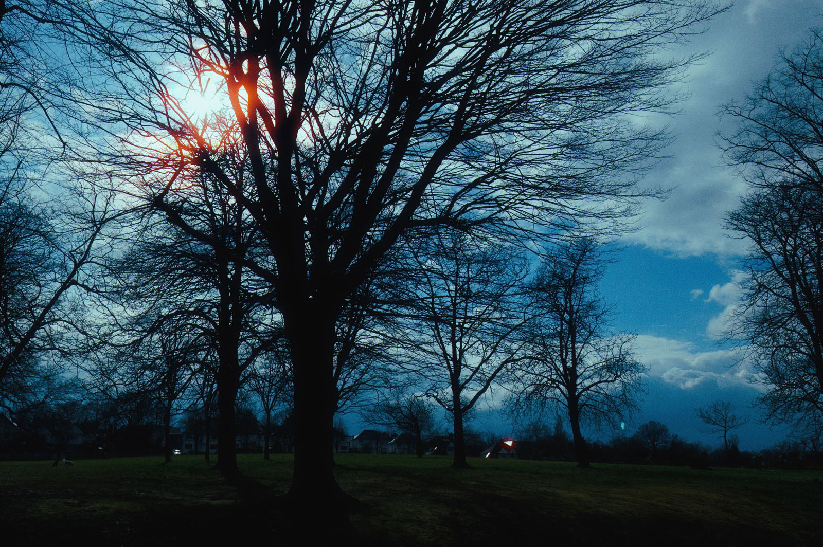 Eye-Catching Mood.Camera iPhone App Adds a Powerful Preset Editor ...