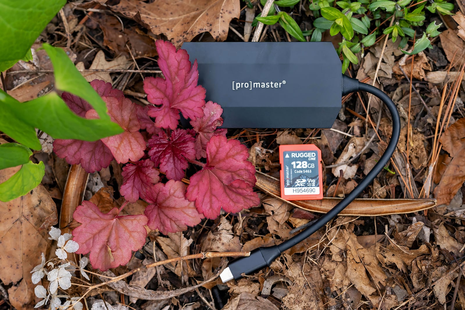 ProMaster's Rugged CINE SD Card and Combo Card Reader Transform Your ...