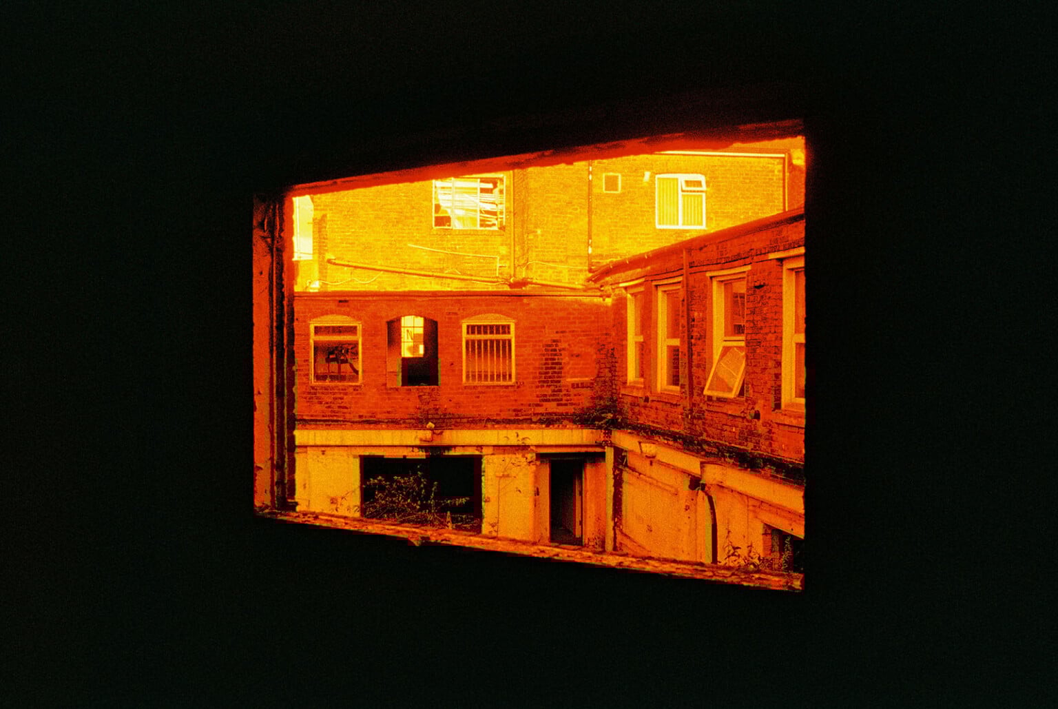 Harman Launches Its Red 125 Redscale Pro-Finished Film in 120 Format ...