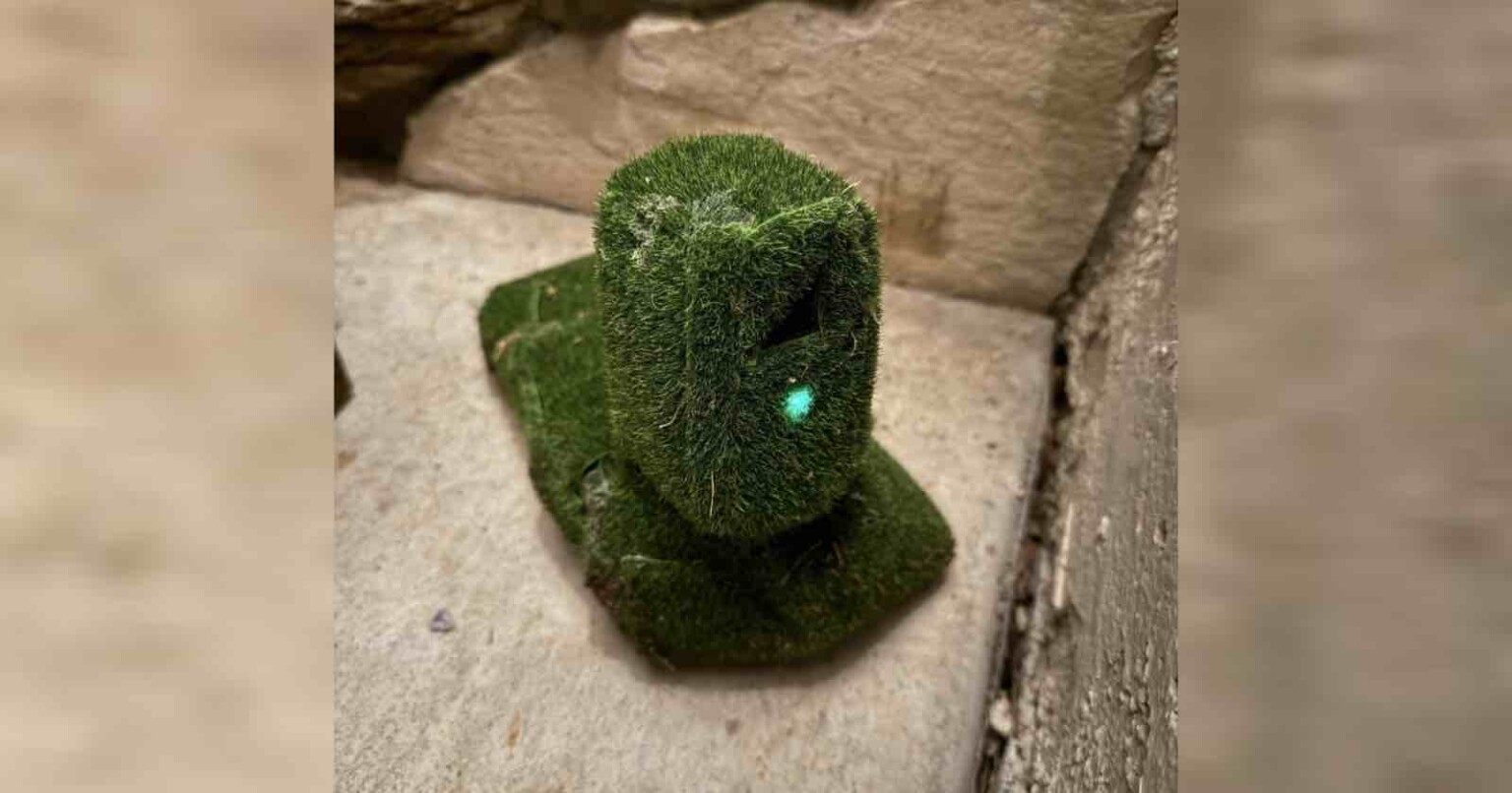 California Homeowner Finds Hidden Camera Disguised with Fake Grass in ...