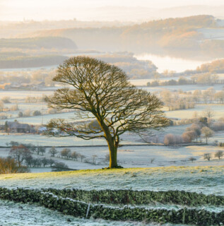 Photographer Nigel Danson Embraces the Beauty of Local Landscapes and ...