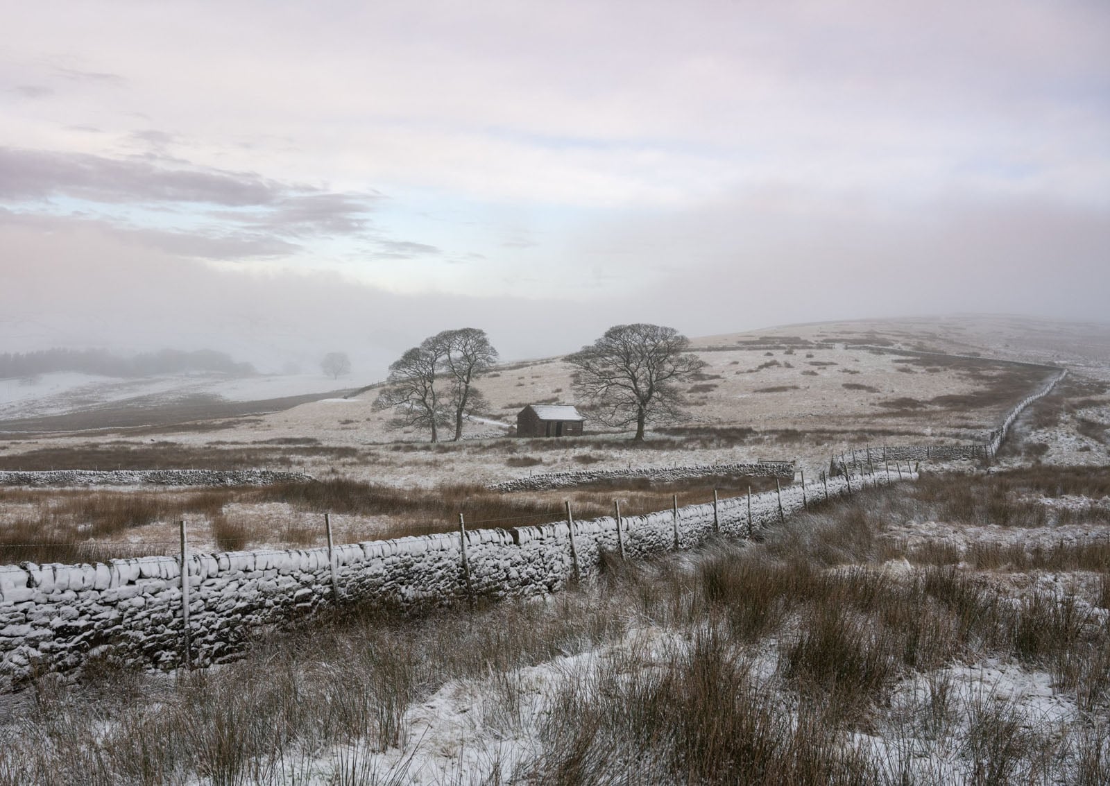 Photographer Nigel Danson Embraces the Beauty of Local Landscapes and ...