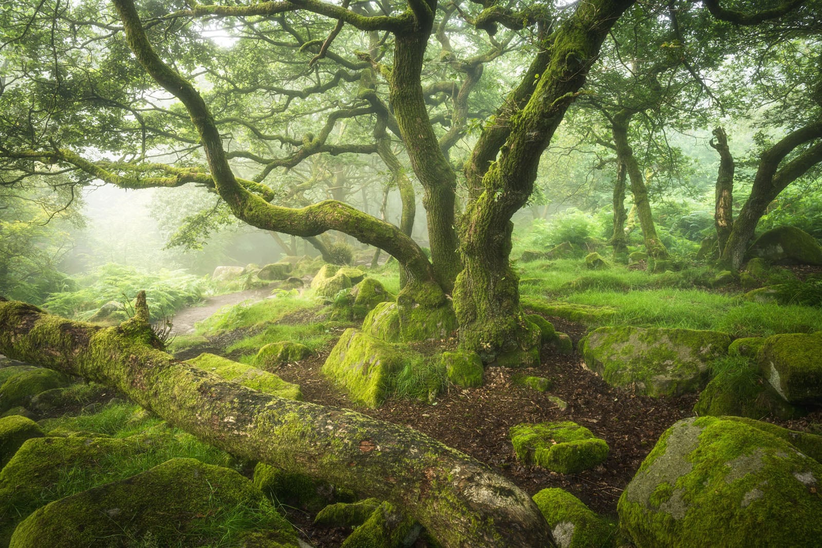 Photographer Nigel Danson Embraces the Beauty of Local Landscapes and ...